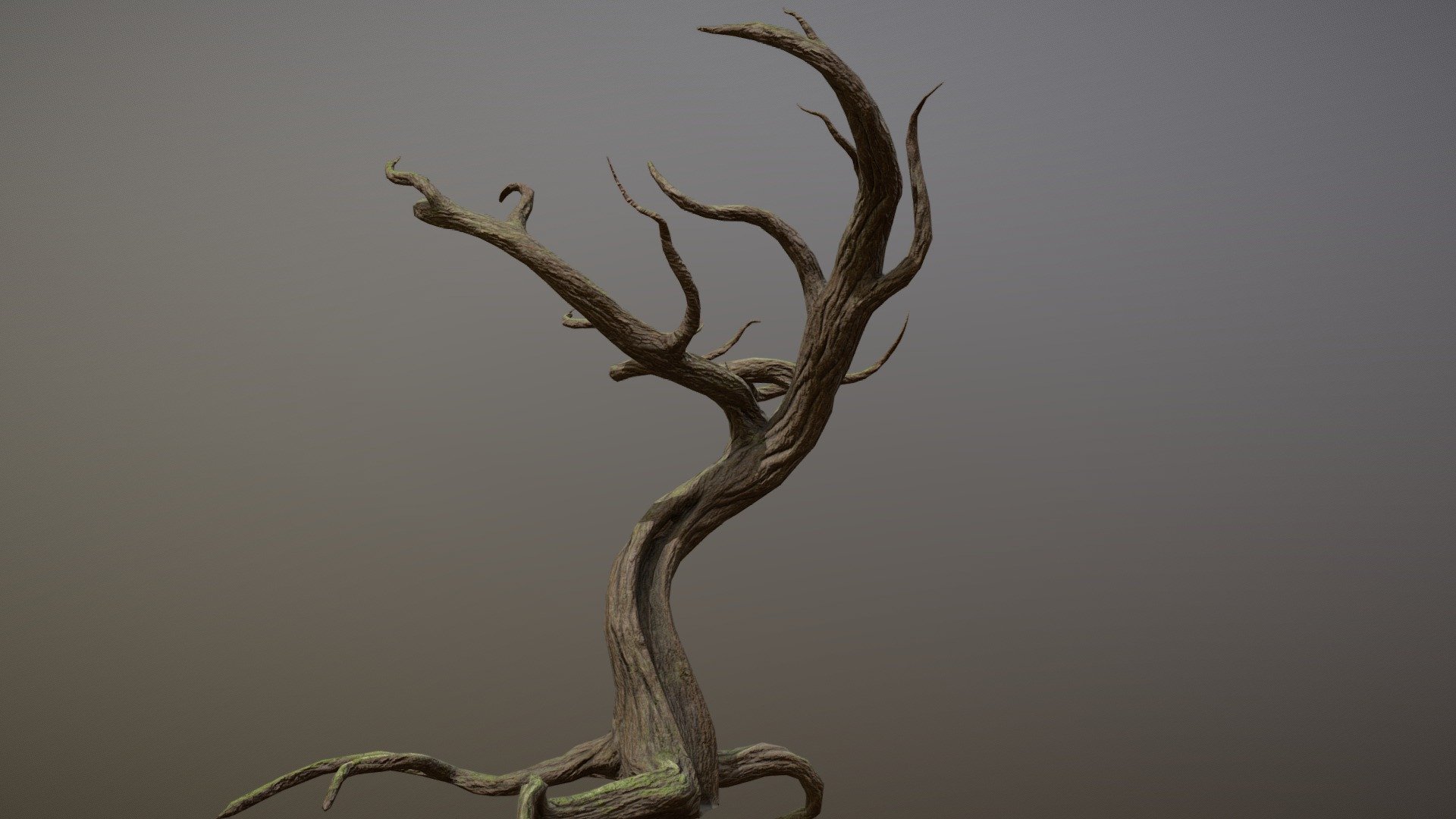 Tree #3 Game Asset - 3D model by ignallacay [9fdaef4] - Sketchfab