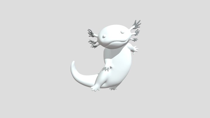 Axolotl 3D models - Sketchfab