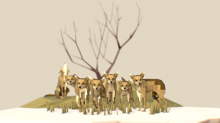 Coyotes, an Animal 3D Model by Studio Ochi