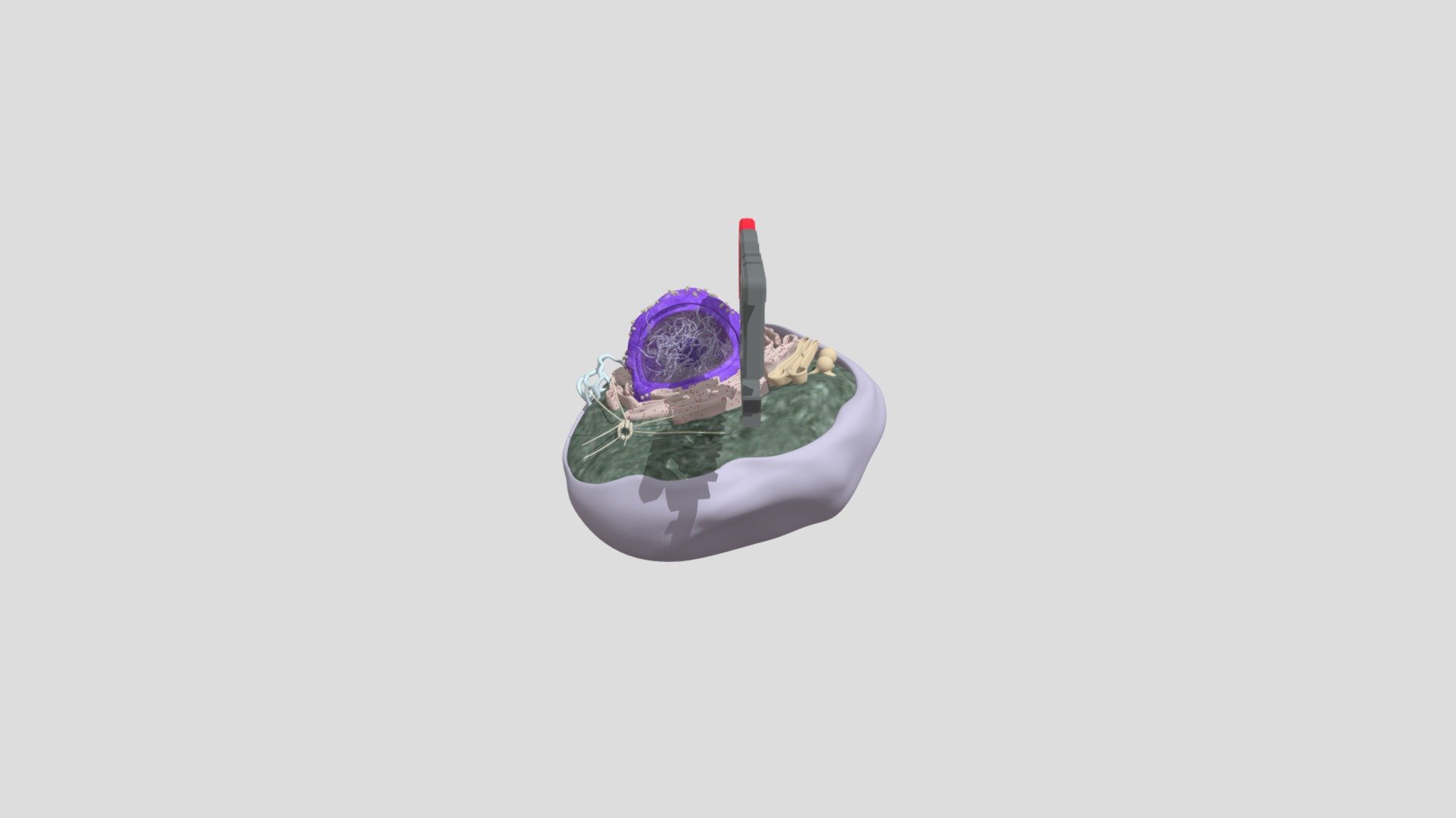 RMIT_HOLO_CELL - Download Free 3D model by keith.hibbert99 [9fe6e78 ...