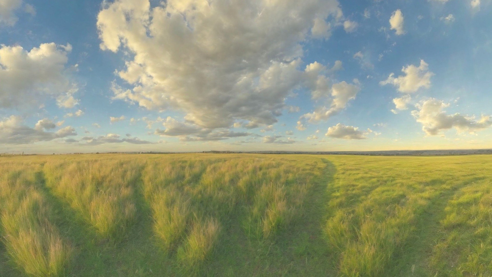 HDRI Grassland Panorama A - Buy Royalty Free 3D model by Ionut81 ...
