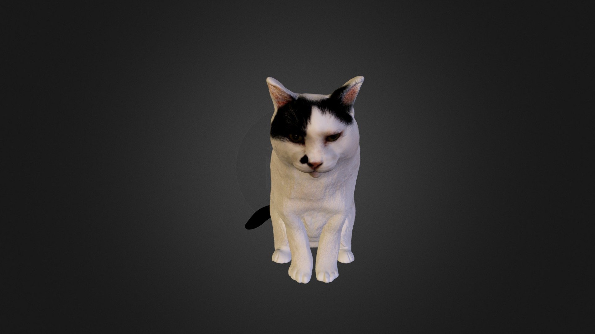 Cat-sample-01 - 3D model by knot [9ff59e3] - Sketchfab