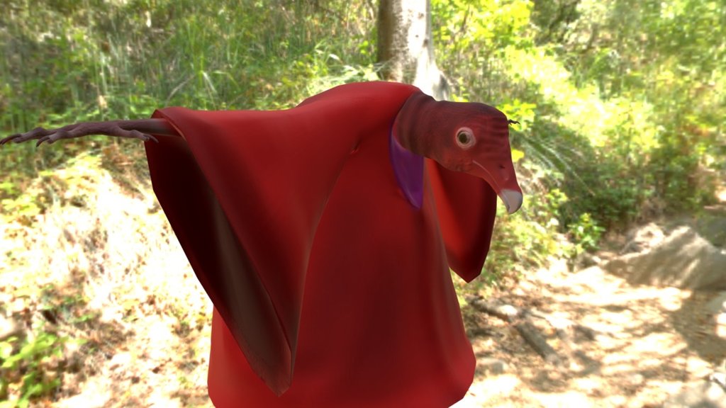 Turkey Vulture Wizard - 3D model by Matt Bodner (@liphttam1) [9ffd413 ...