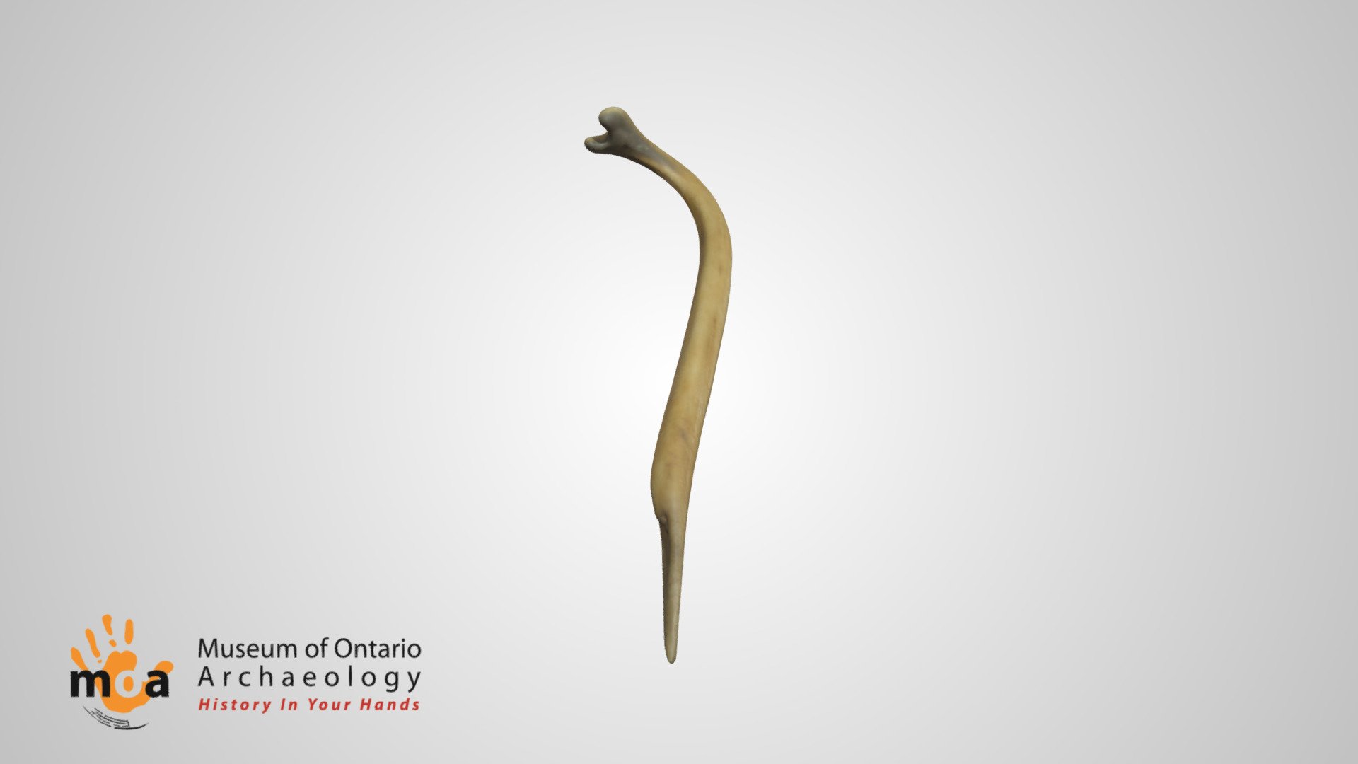 Bone Awl J9337 - 3D model by MuseOntArch [9fff7eb] - Sketchfab