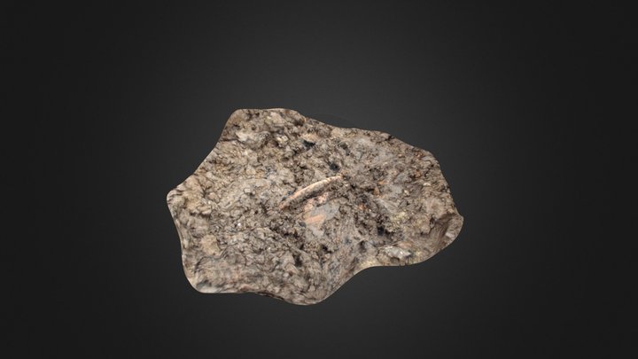 Samian 3D models - Sketchfab