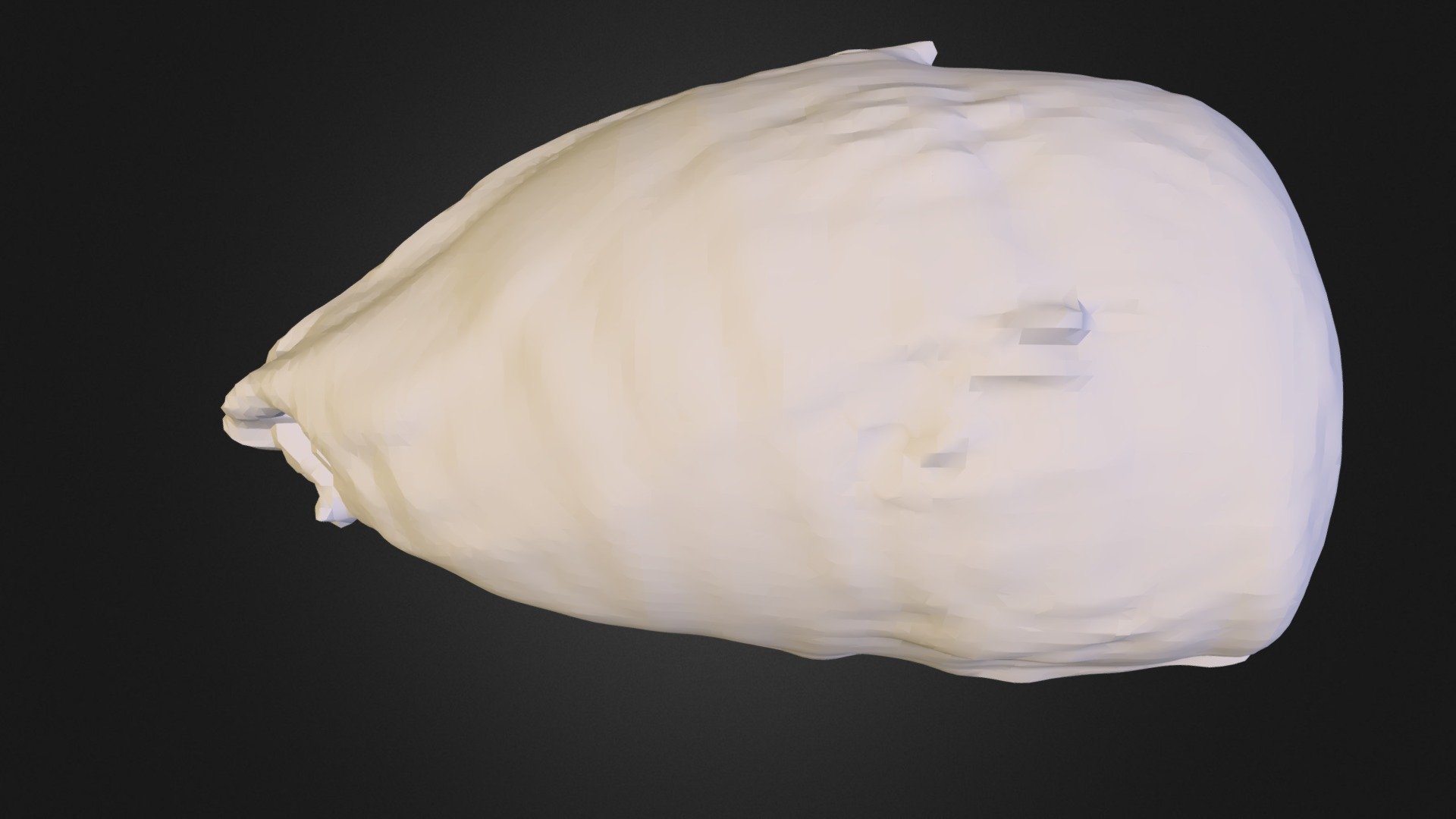myzip.zip - 3D model by jnaiman [I3jPDnL] - Sketchfab