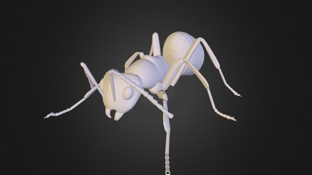 My own work: Insects - A 3D model collection by Mieke Roth (@miekeroth ...