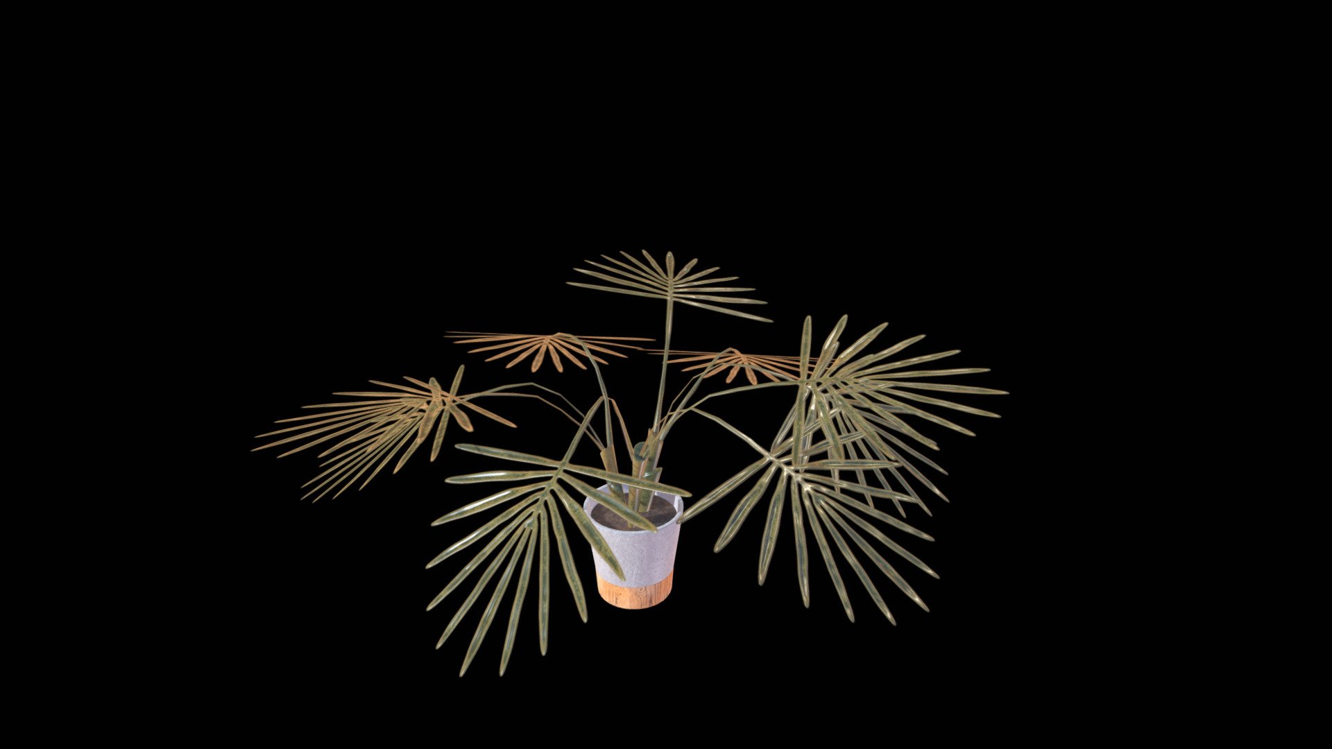 plant - 3D model by Yzzo163 [a017864] - Sketchfab