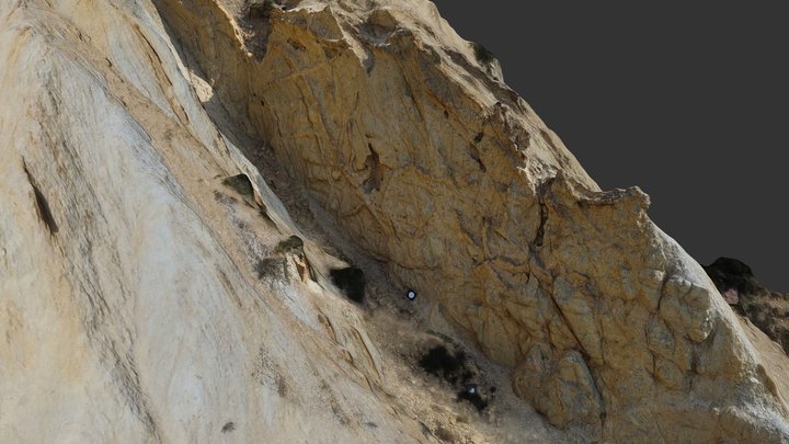 Tls-scan 3D models - Sketchfab