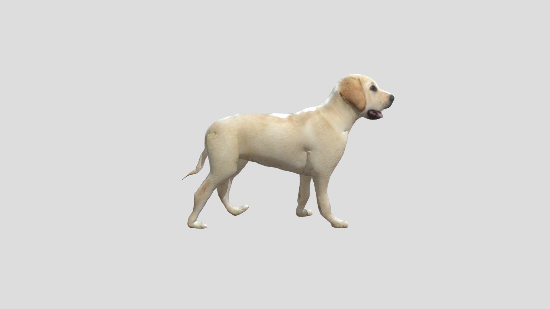 dog walk - Download Free 3D model by HonDaMcd [a025d7e] - Sketchfab