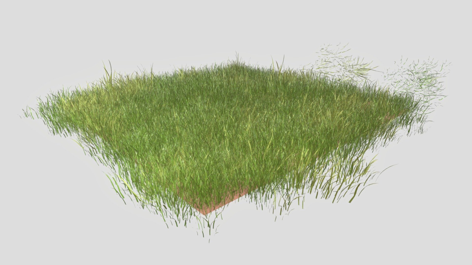 Grass Field - Buy Royalty Free 3D model by Nico van der Noll (@Nico.Van ...