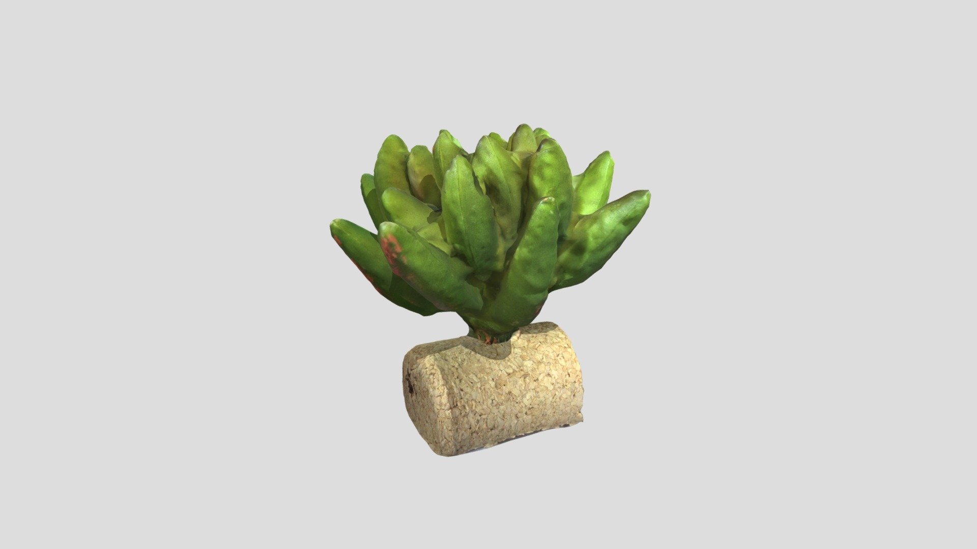airplant_2 - Download Free 3D model by Jonnycg [a02d77a] - Sketchfab