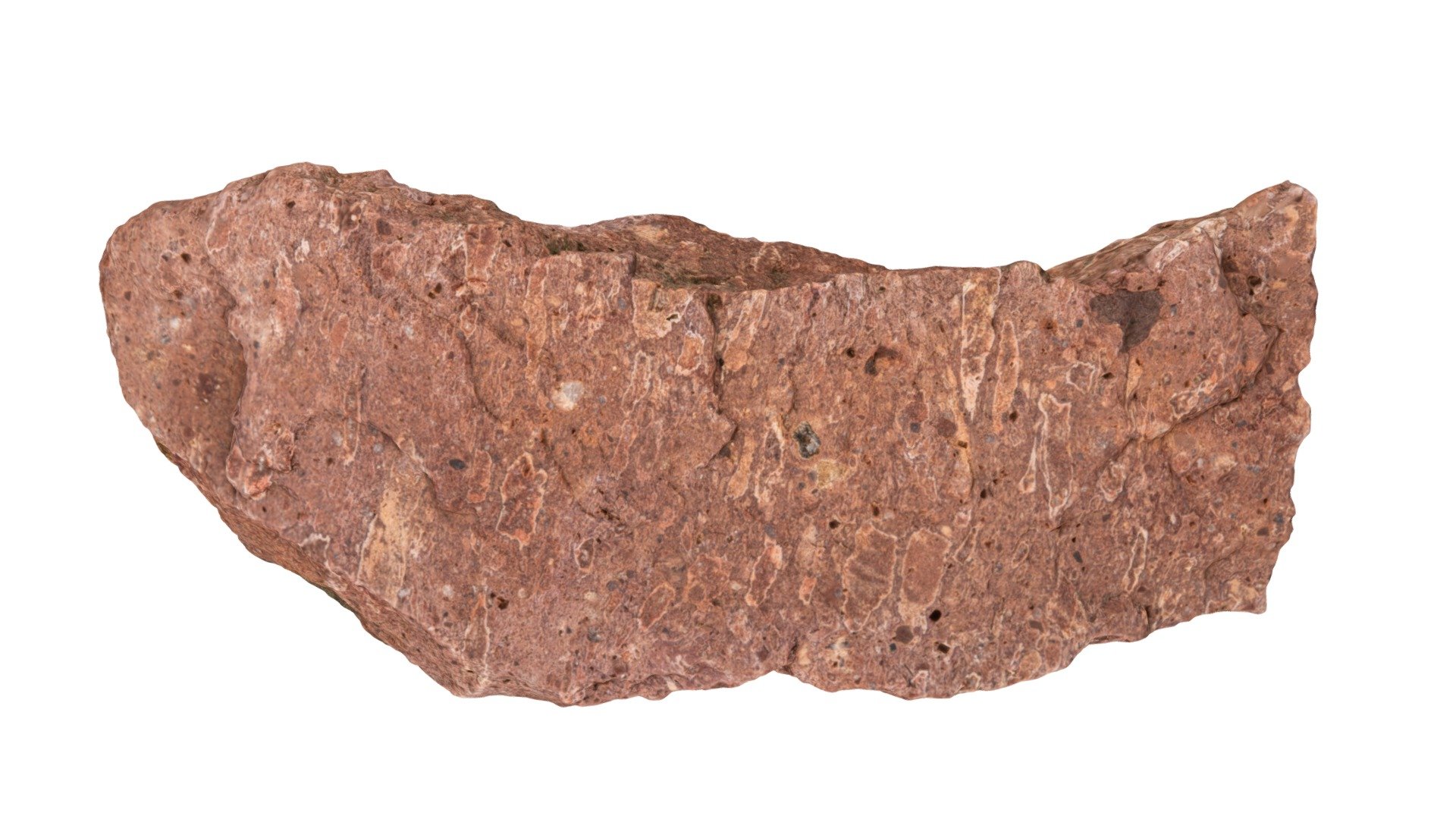 Rhyolite avec fiammes - 3D model by ENSG_GeologieVirtuelle [a03134c ...
