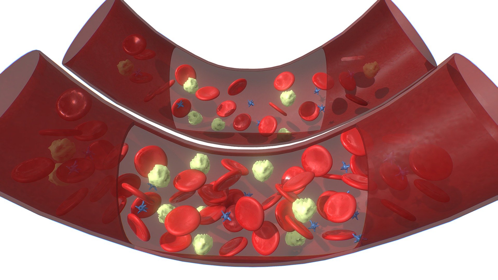 Anemic Blood VS Normal Blood - Buy Royalty Free 3D model by lazae ...