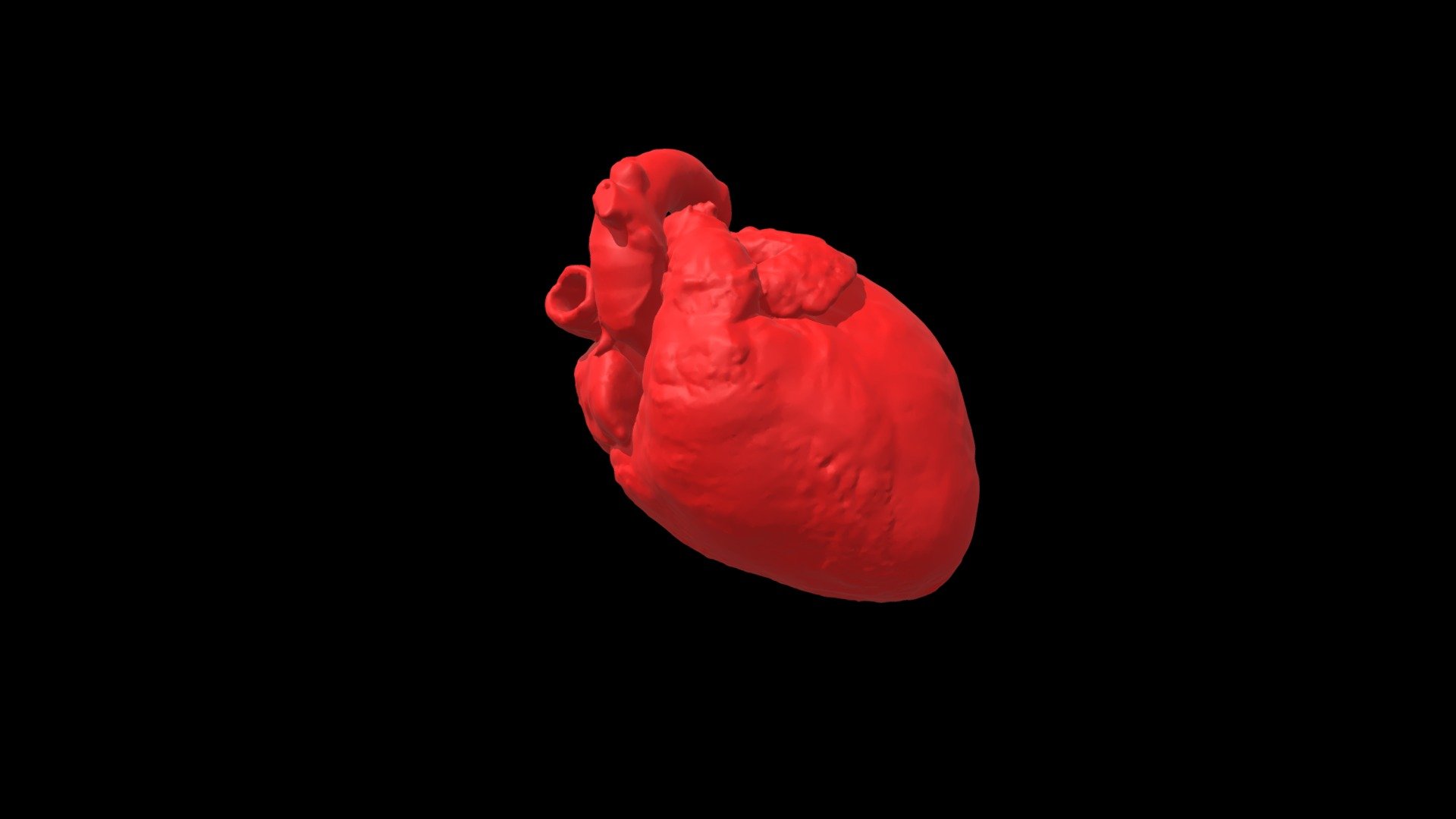 Pediatric Tissue Model- Heart0073 - Download Free 3D model by ...