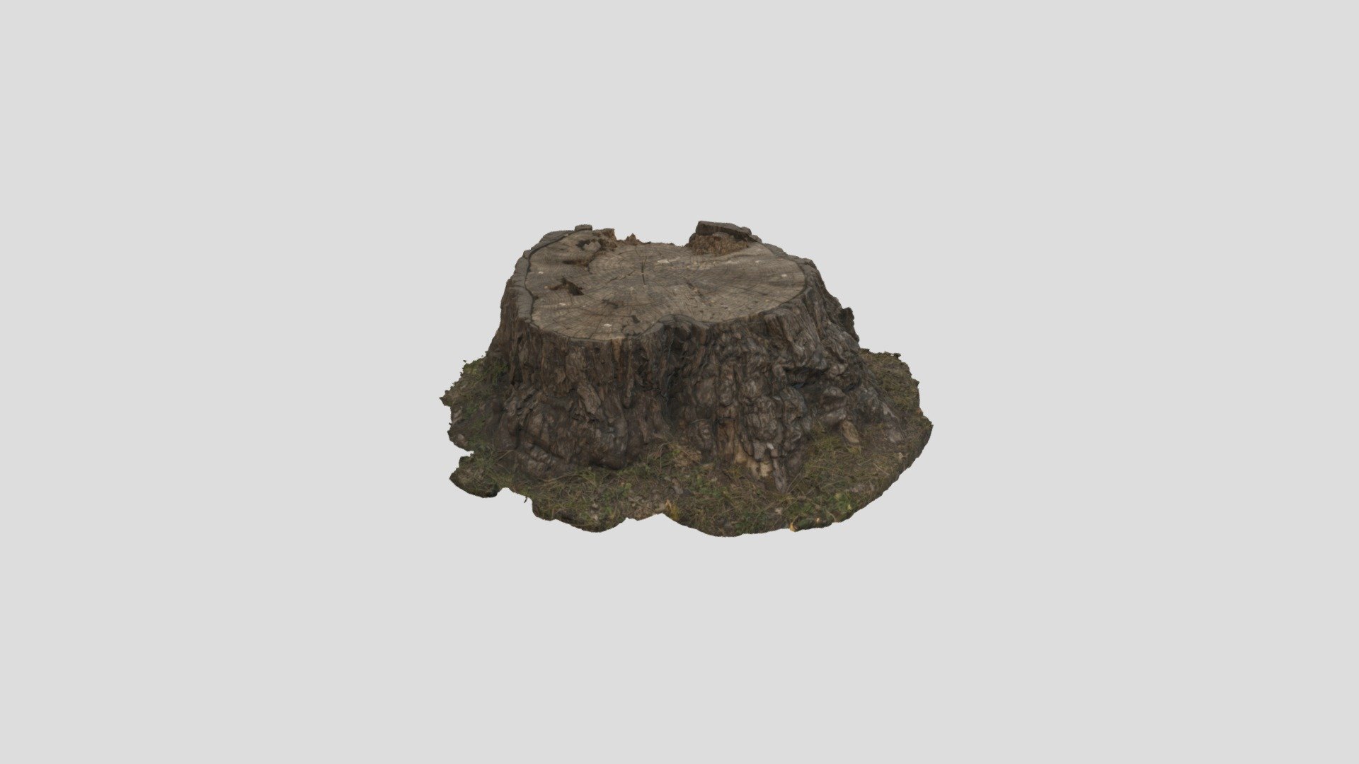 Práctica 3d Tronco - 3D model by MarMondragon [a03a855] - Sketchfab