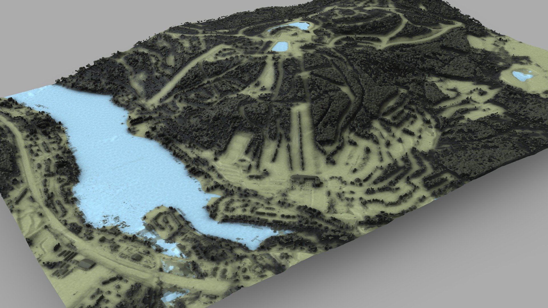 Wisp - Download Free 3D model by Four Stops (@fourstops) [a042475 ...