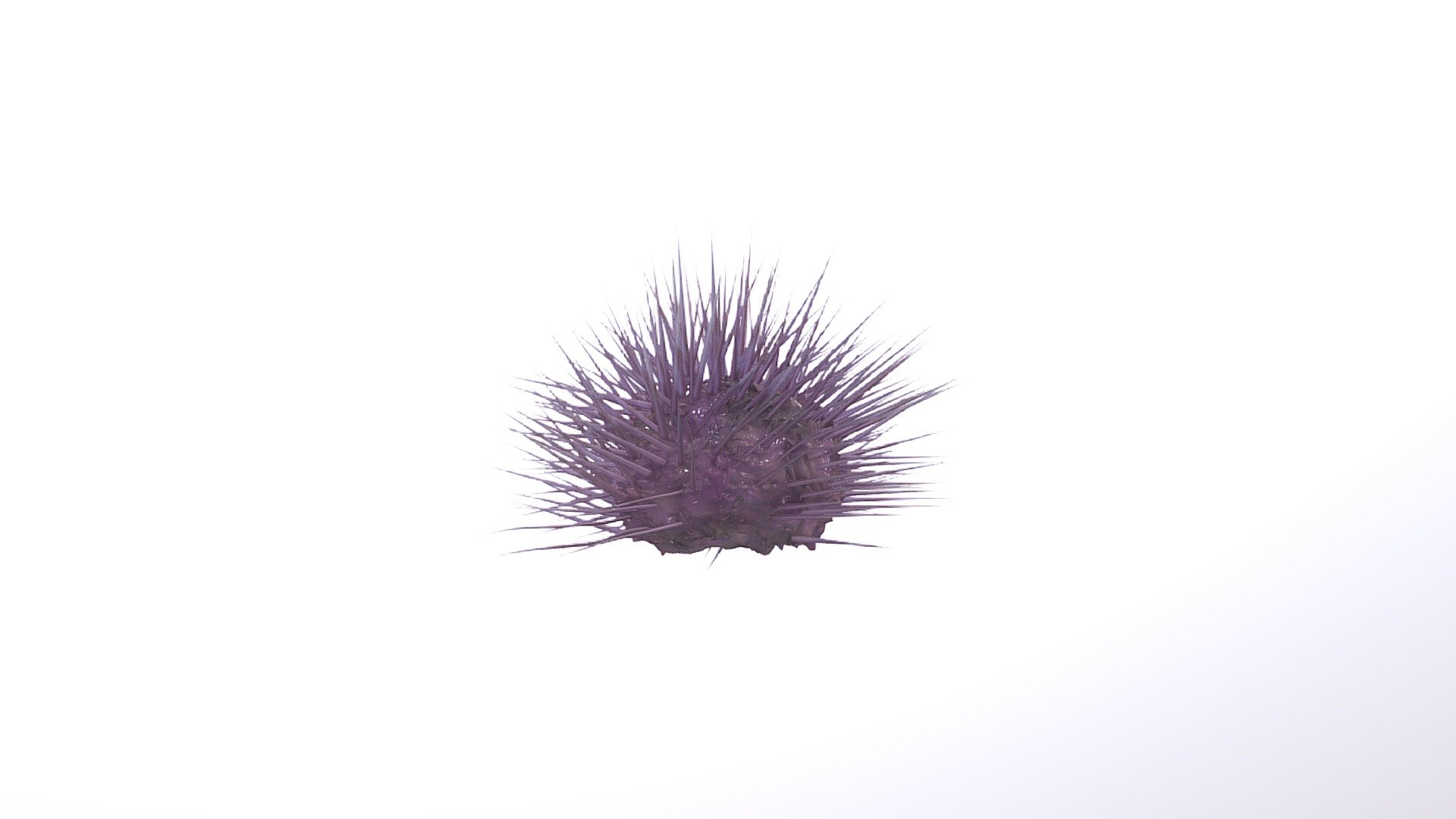 Sea Urchin - 3D model by shde [a046773] - Sketchfab