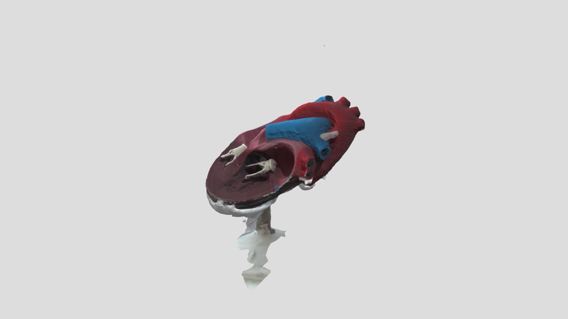 Inima - 3D model by supporteurodidactica [a054d62] - Sketchfab