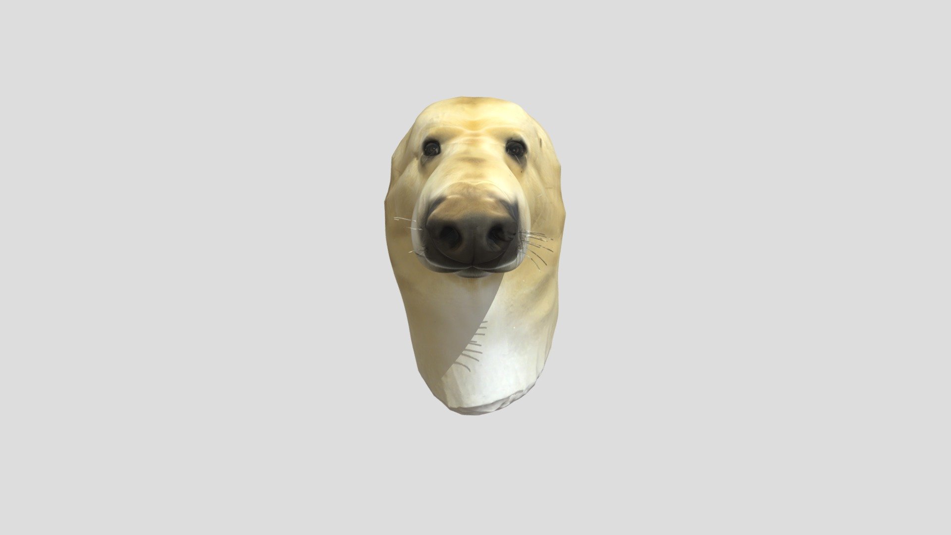 Albert - 3D model by luxury2fast [a0601c8] - Sketchfab
