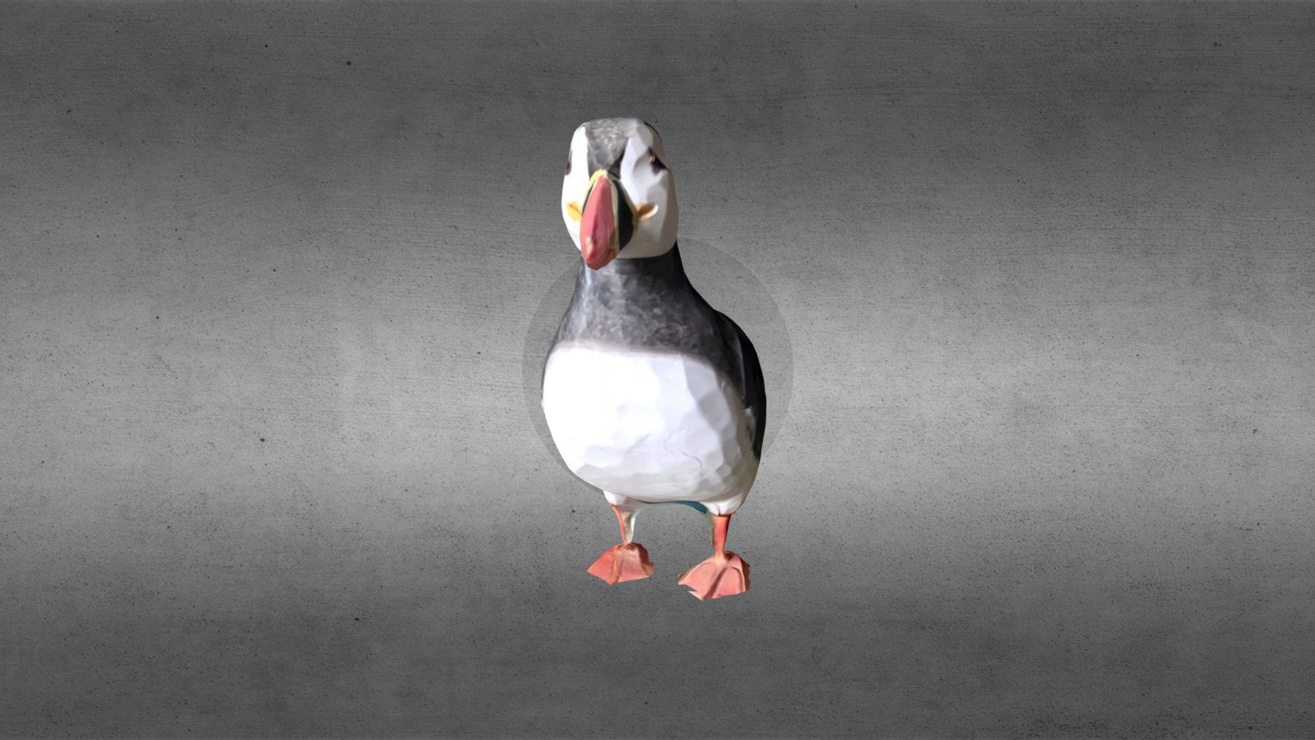 Wooden Puffin - Download Free 3D model by iteacher [a064b7b] - Sketchfab