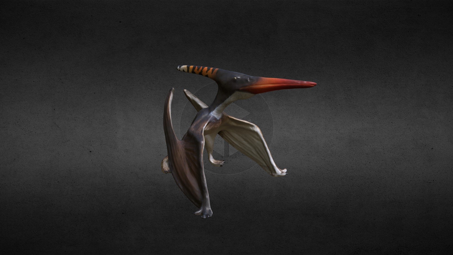 Pteranodon - 3D model by OlhaV [a0667a8] - Sketchfab