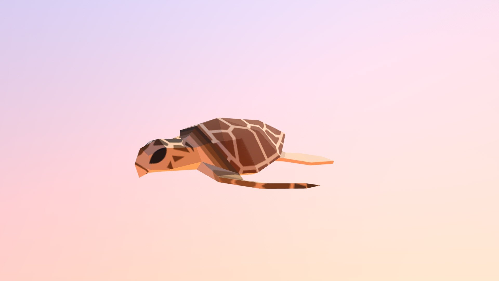 Turtle - Download Free 3D model by andrejrosmany [a06680a] - Sketchfab