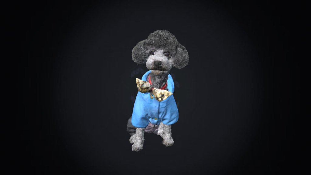 Poodle - Download Free 3D model by Daniel Peng (@danielpeng) [a06bd9c ...