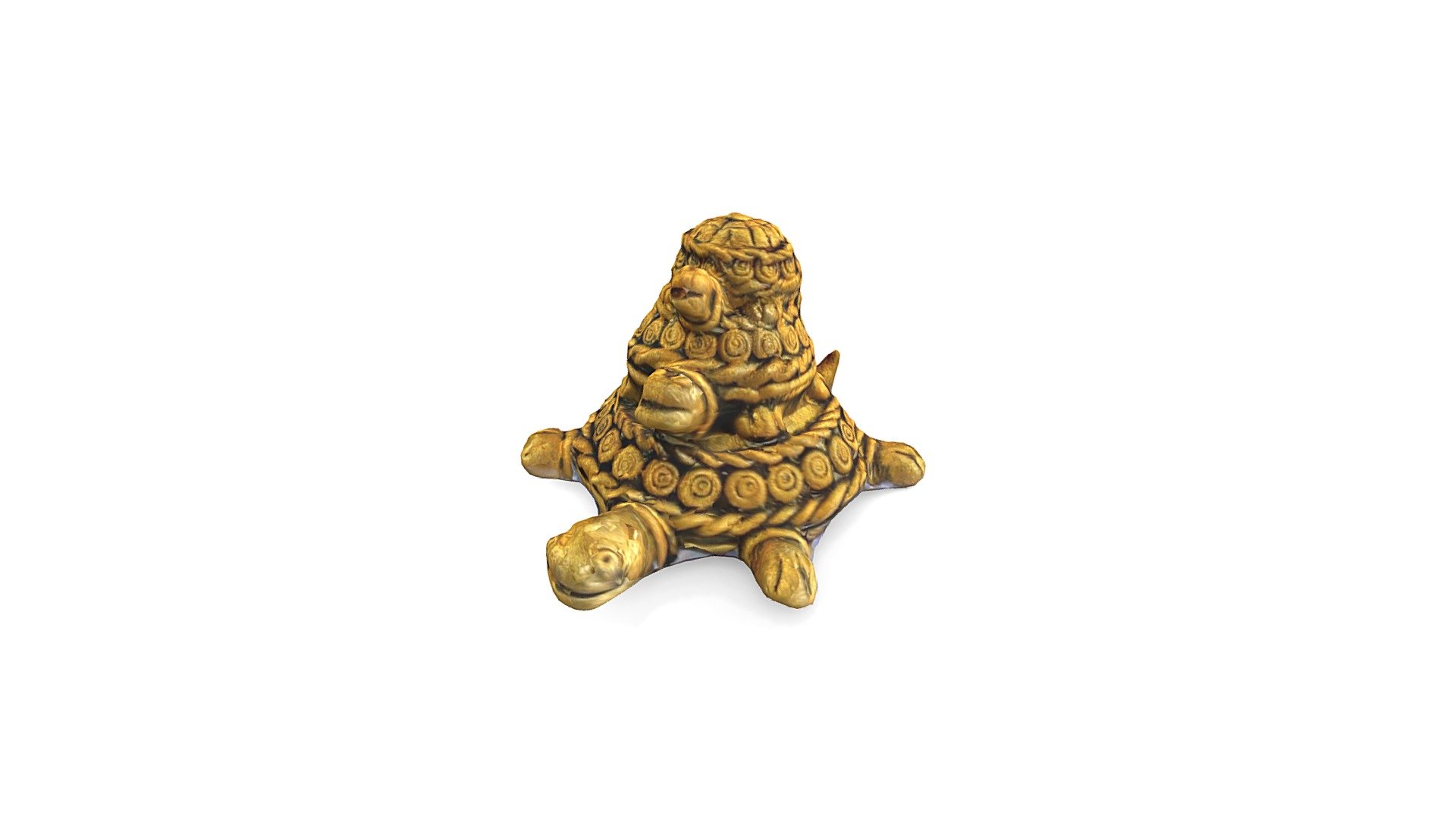 Turtle Scan - 3D model by poonamkumar30796 [a0714a2] - Sketchfab
