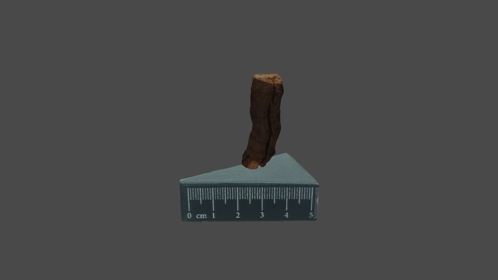 รากเจตมูลเพลิง scale bar - Download Free 3D model by 65201101047 ...