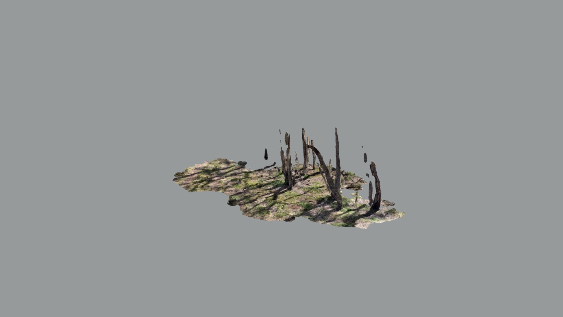 Tree stand - Download Free 3D model by feelab [a07d0d3] - Sketchfab