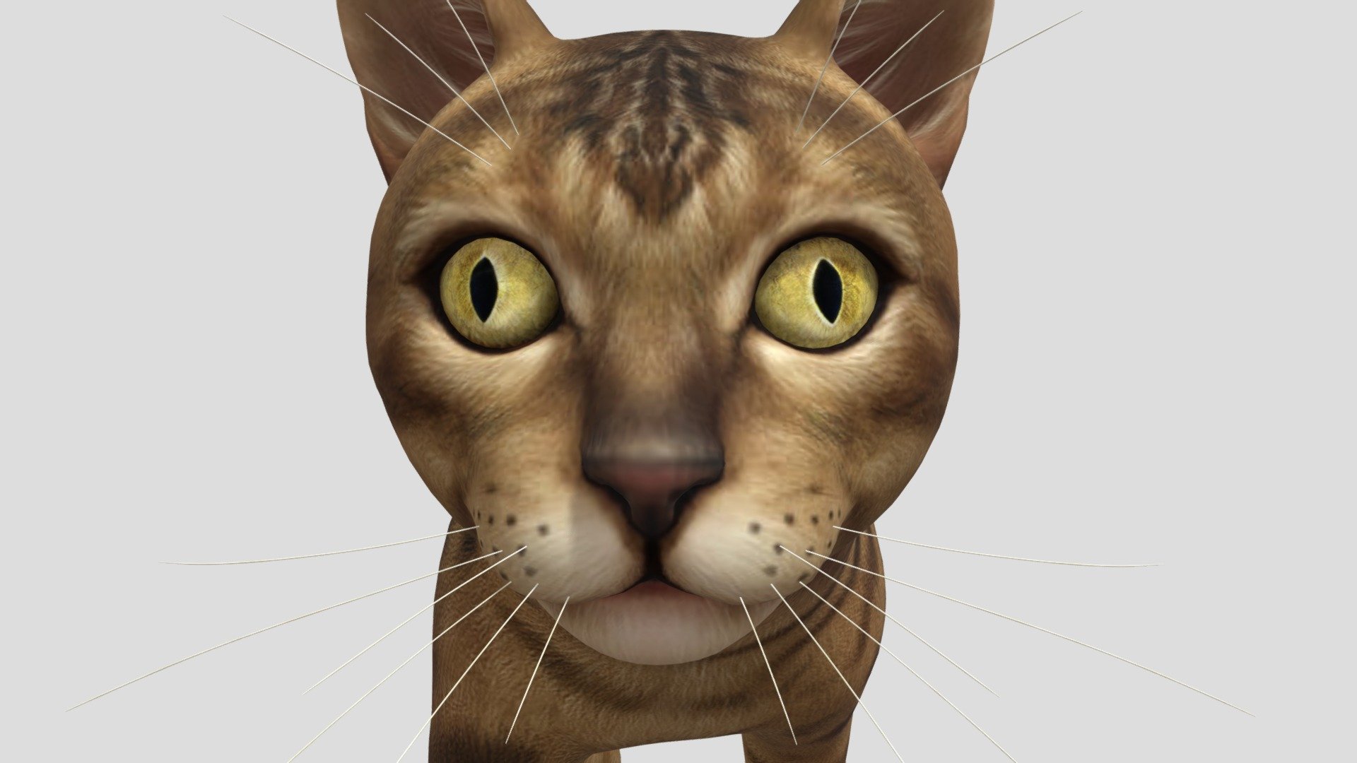 KITTY CAT - 3D model by Kitty Nayanika (@xxkittynayanikaxx) [a08829b ...