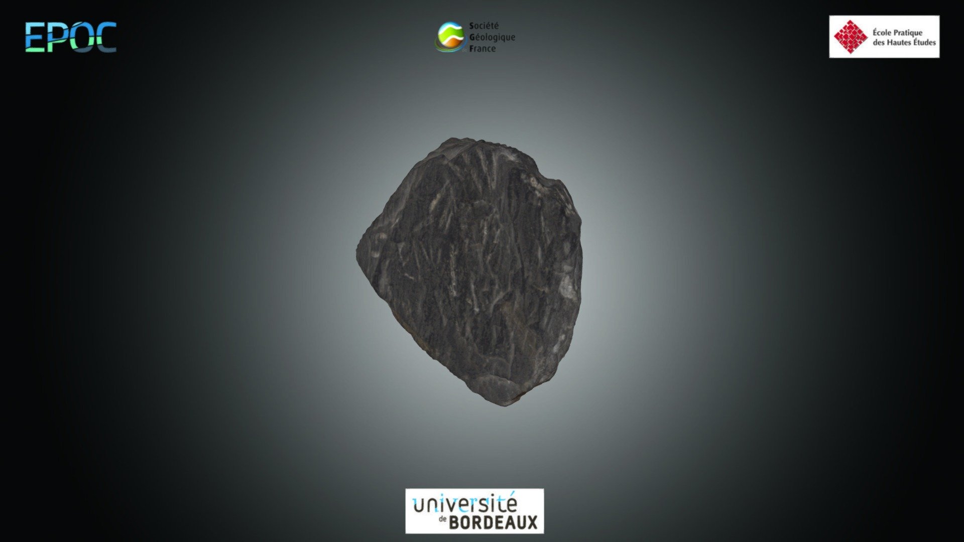 Graptolite - Didymograptus sp. - Download Free 3D model by Société ...