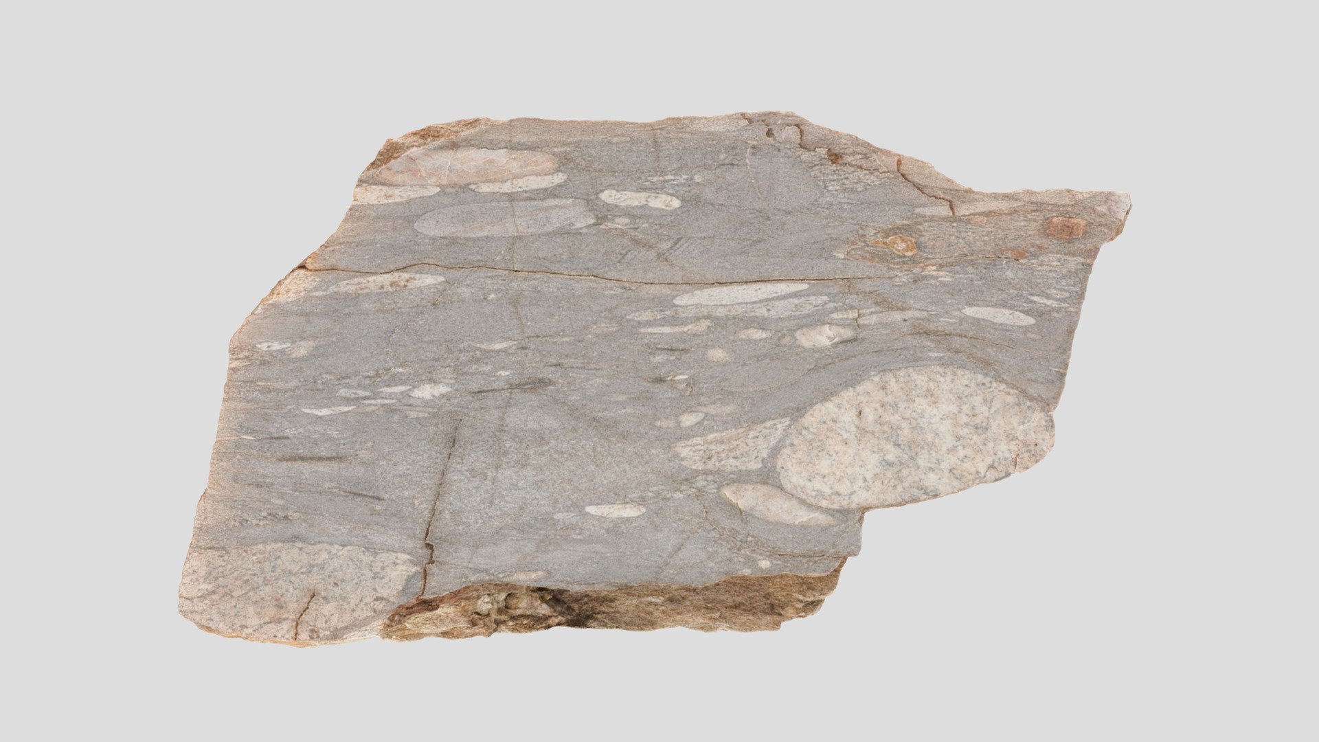 conglomeratic paragneiss with deformed pebbles - Download Free 3D model ...