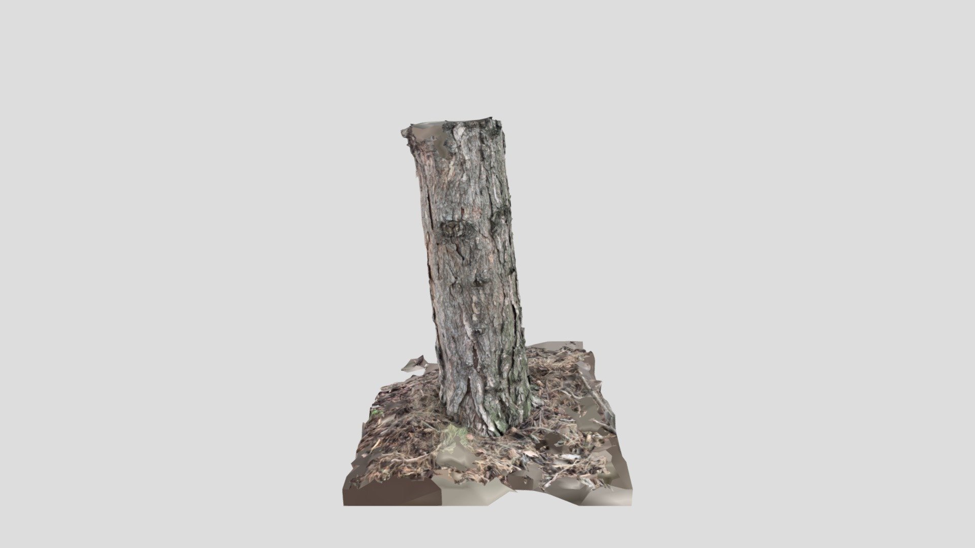 Tree B - Download Free 3D model by conflig [a08c29b] - Sketchfab