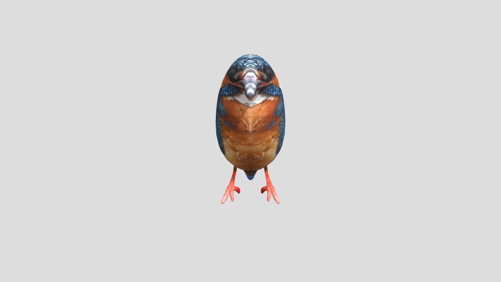 Kingfisher-3d-model - Download Free 3D model by s134386 [a09339c ...