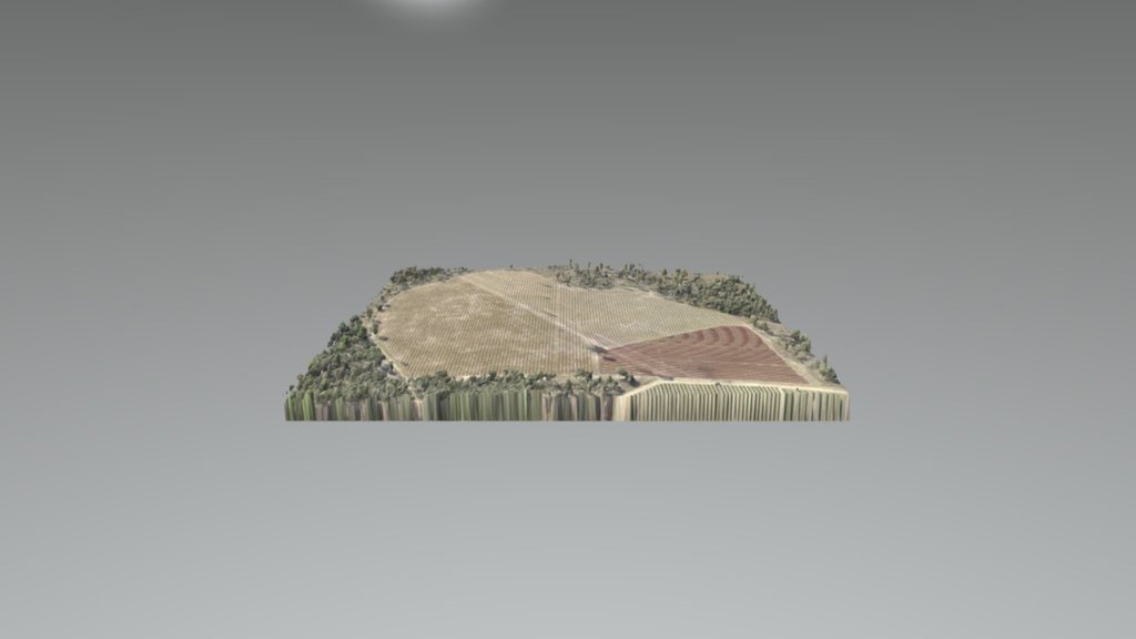 Olive Farm With Plant Beds - 3D model by Ellipsis Media (@prepress ...