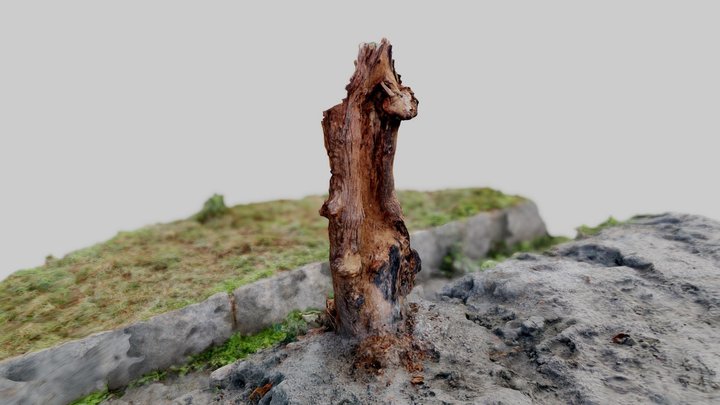 Deforestation 3D models - Sketchfab