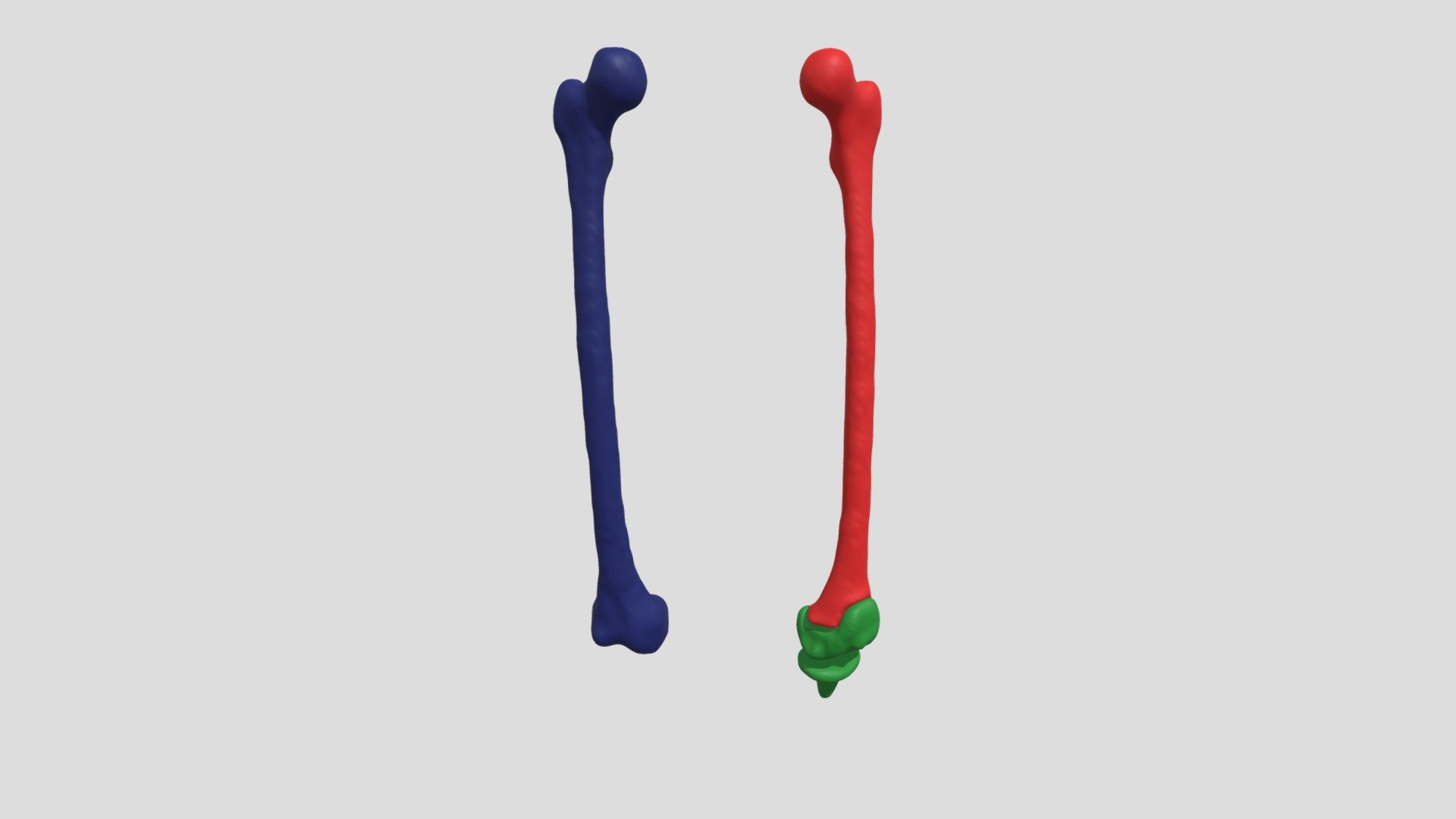 Raja segmentation - 3D model by malar.raja [a09877d] - Sketchfab