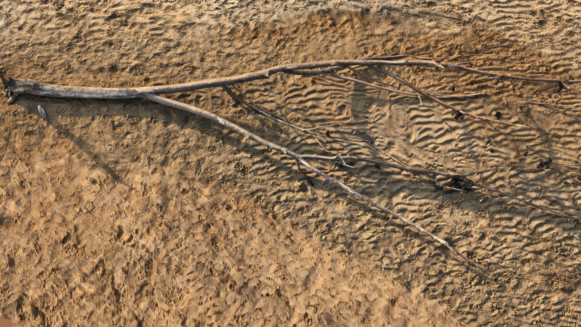 Sandy Branch - Download Free 3D model by megalitharchive [a09bec8 ...