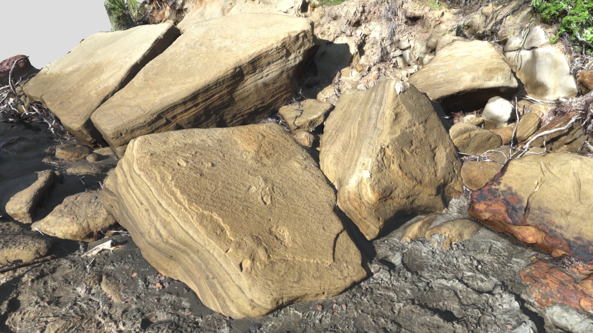 Moa Footprints found in New Zealand, July 2024 - 3D model by Out There ...