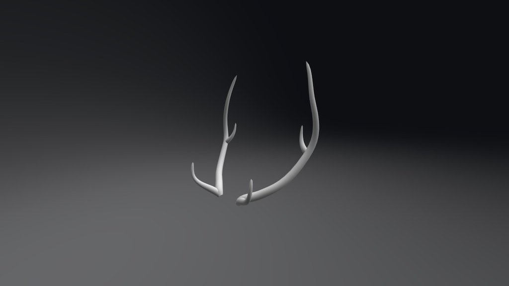 Antlers - 3D model by Tetrachroma [a0a4d68] - Sketchfab