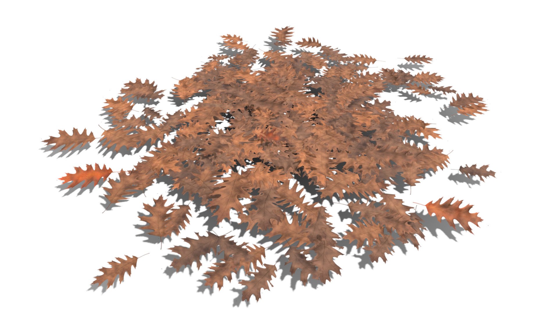 Realistic HD Red oak leaf litter (6/36) - Download Free 3D model by ...