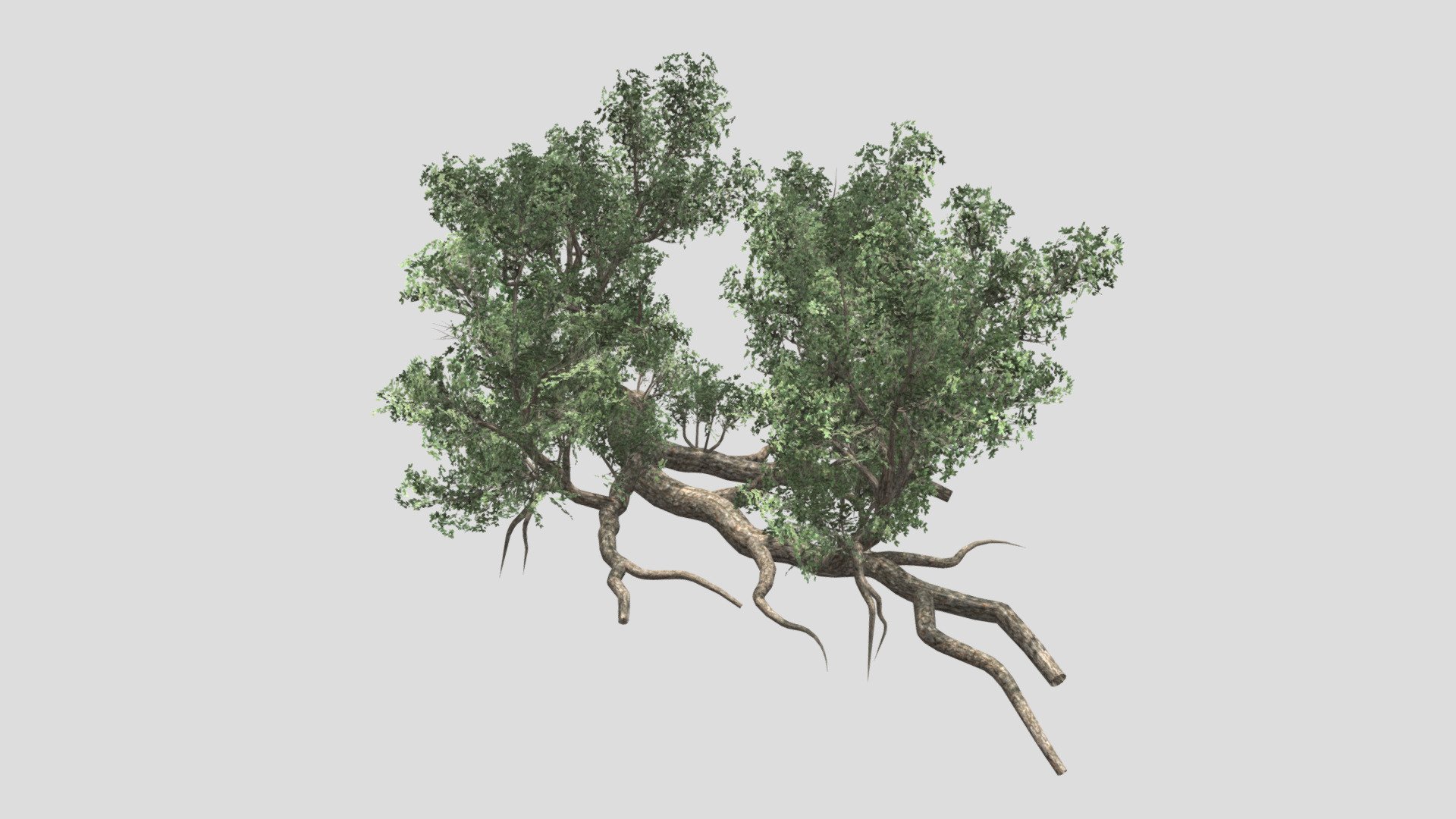 Tree (part6) - Download Free 3D model by YN14R [a0a84eb] - Sketchfab
