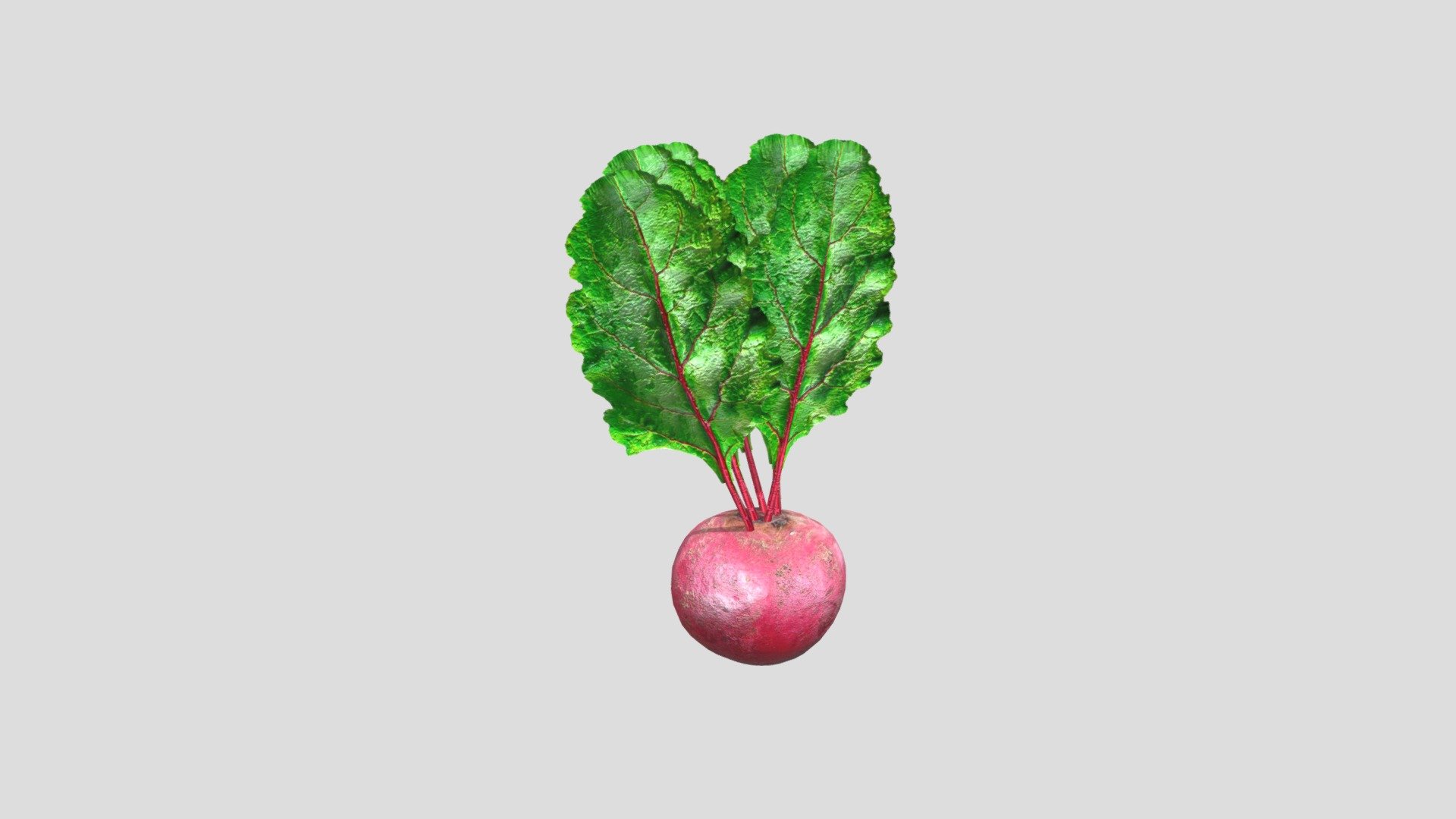 Beetroot - Buy Royalty Free 3D model by 3dlowpoly [a0ac863] - Sketchfab Store