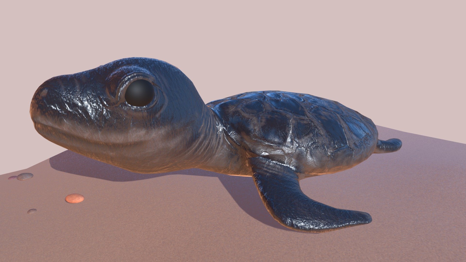 Small Turtle - 3D model by Alba Lupiañez (@albalupianez) [a0adb74 ...