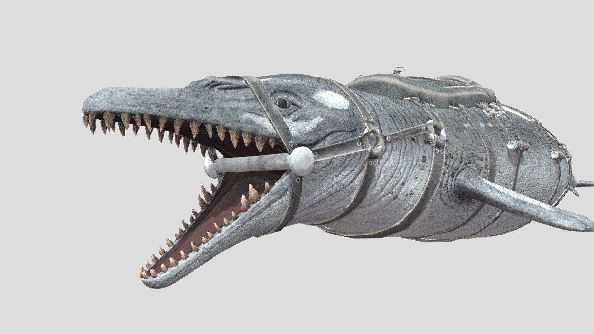 Basilosaurus - Download Free 3D model by Tim (@TimFallas) [a0bfac8 ...