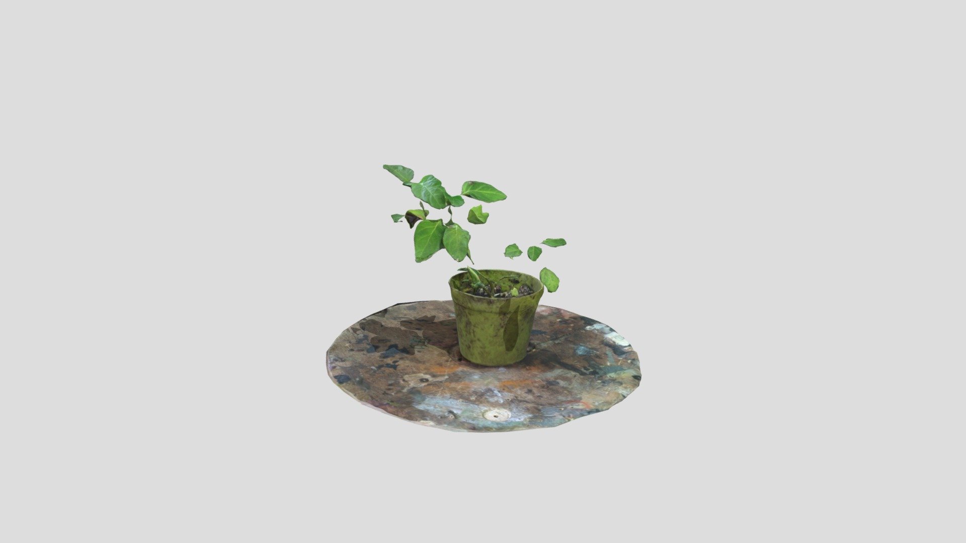 pot cabe - 3D model by korekdanrokokcbus [a0c5669] - Sketchfab