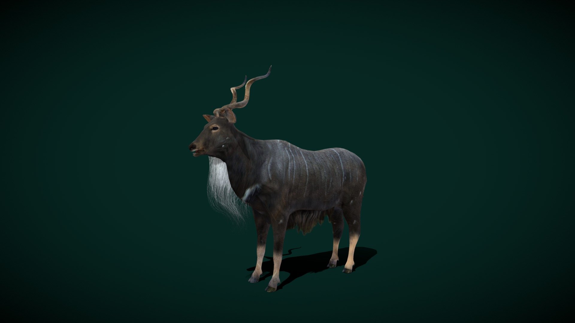 Nyala Antelope (Lowpoly) - Buy Royalty Free 3D model by ...