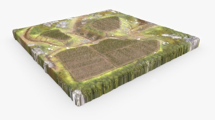 Barley 3D models - Sketchfab
